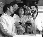 Is a hot dog a sandwich? Science has the answer. – TPGS